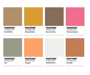 Cloud Dancer: The Unexpected Pantone Color Of The Year 2026